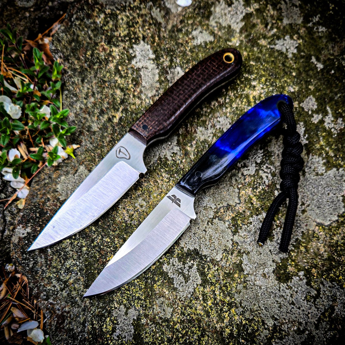 Evolution of the Knives by Nuge Chickpea – Black Flag Survival